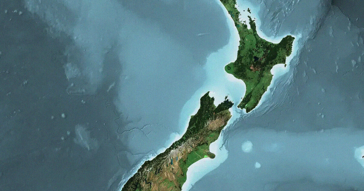 Ratonga raraunga | Data service | Toitū Te Whenua - Land Information ...