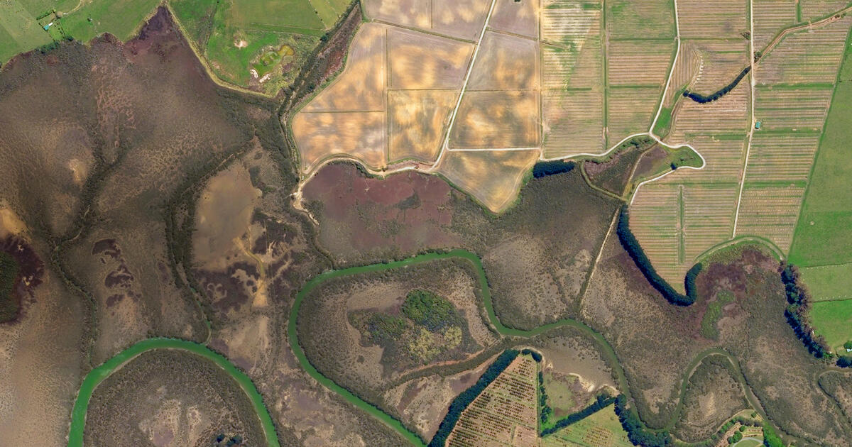 Pānui - 24 February 2025 special edition | Toitū Te Whenua - Land ...