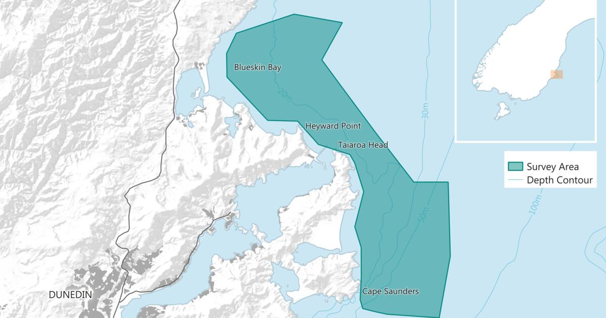 Seabed mapping for safer navigation underway in Otago | Toitū Te Whenua ...